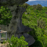 Tasman District Council